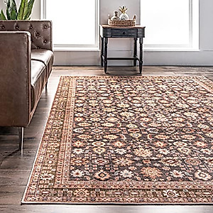 nuLOOM Cathie Persian Floral Machine Washable Area Rug, 8' x 10', Beige