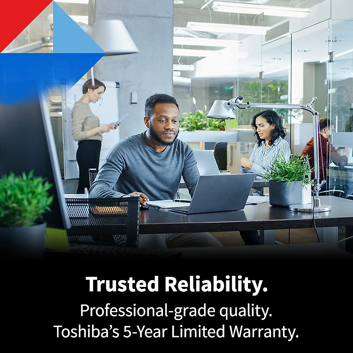 Toshiba N300 PRO 8TB Large-Sized Business NAS (up to 24 bays) 3.5-Inch Internal Hard Drive - Up to 300 TB/year Workload Rate CMR SATA 6 GB/s 7200 RPM 256 MB Cache - HDWG480XZSTB