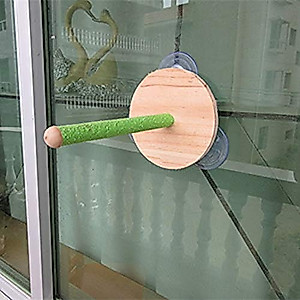 Bird Shower Perch Stand Parrot Bath Suction Cup Window Wall Platform Frame Toys for Small Medium Parrots Parakeet Macaw Cockatoo African Grey Budgies with Scrubbing Wooden Stick (Random Color)