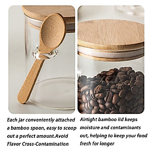 Glass Jars with Wooden Lid and Spoon, Airtight Food Storage Containers for Sugar/Coffee/Flour/Spices, Set of 3 Clear Stackable Kitchen Canisters, Ideal for Home Organization Decor (18Oz/530ML)