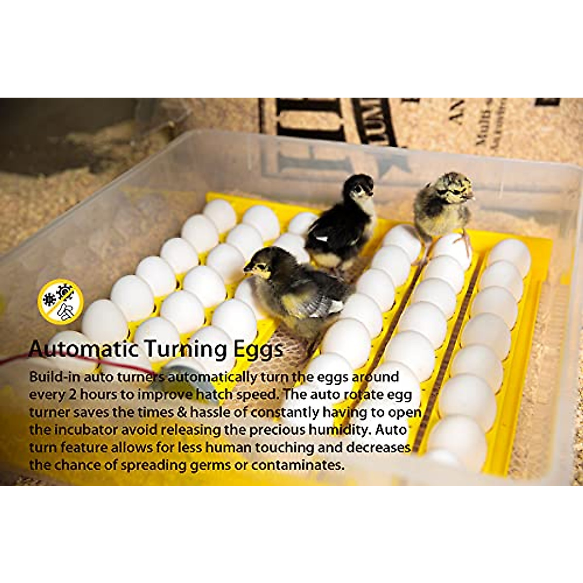 XtremepowerUS 97056-1 48 Digital Incubator with Fully Automatic Turning and Humidity Control 80W Clear Hatching for Chicken Duck Eggs, Yellow