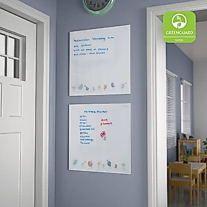 ECR4Kids MessageStor Magnetic Dry-Erase Glass Board with Magnets, 17.5in x 17.5in, Wall-Mounted Whiteboard, Birds, 2-Pack