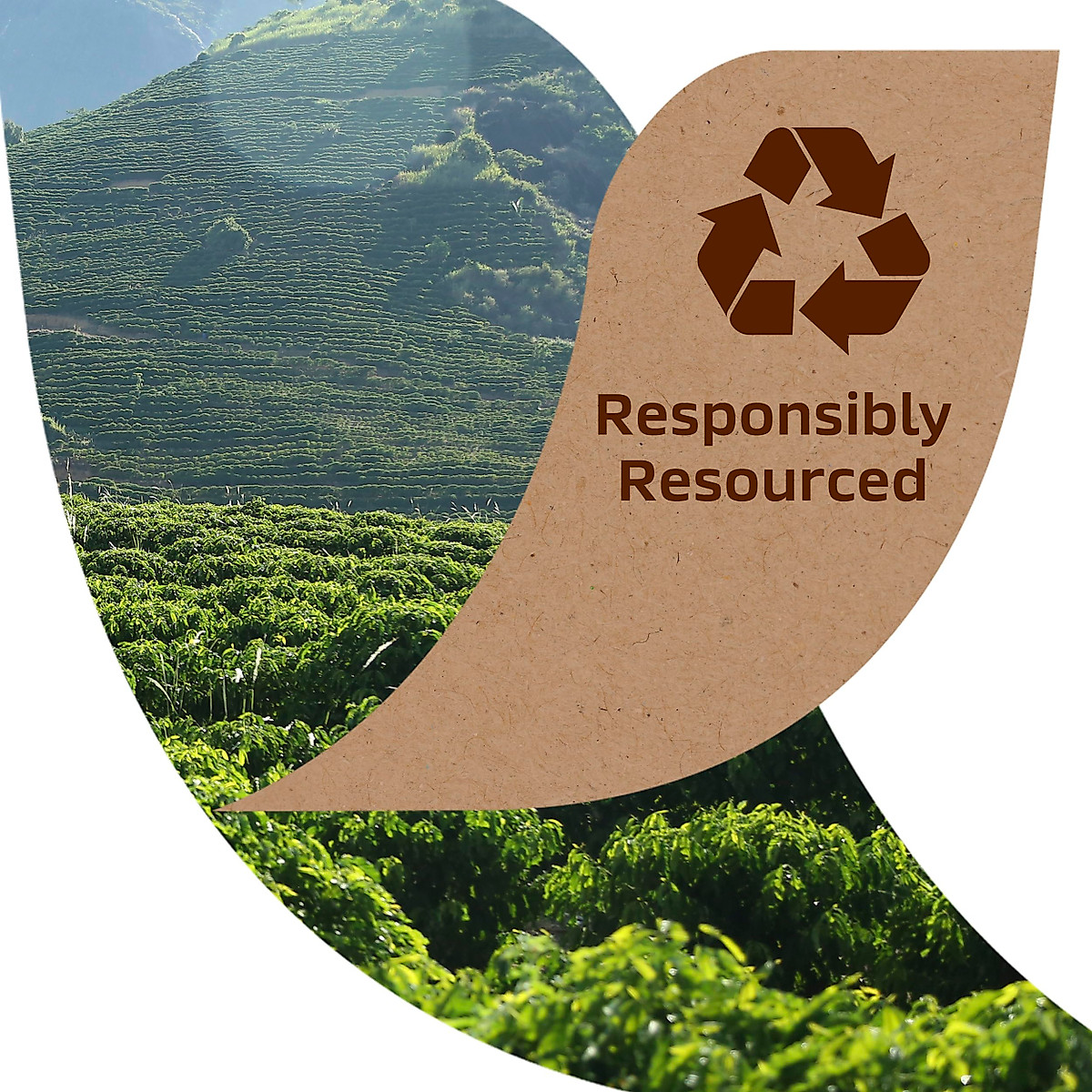 Nescafe Taster's Choice House Blend Instant Coffee, 7 Ounce (Pack of 2)