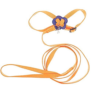 Adjustable Reptile Lizard Harness Leash: Turtle Lizard Traction Belt Bearded Dragon Accessories Crested Gecko Guinea Pig Harness Rope