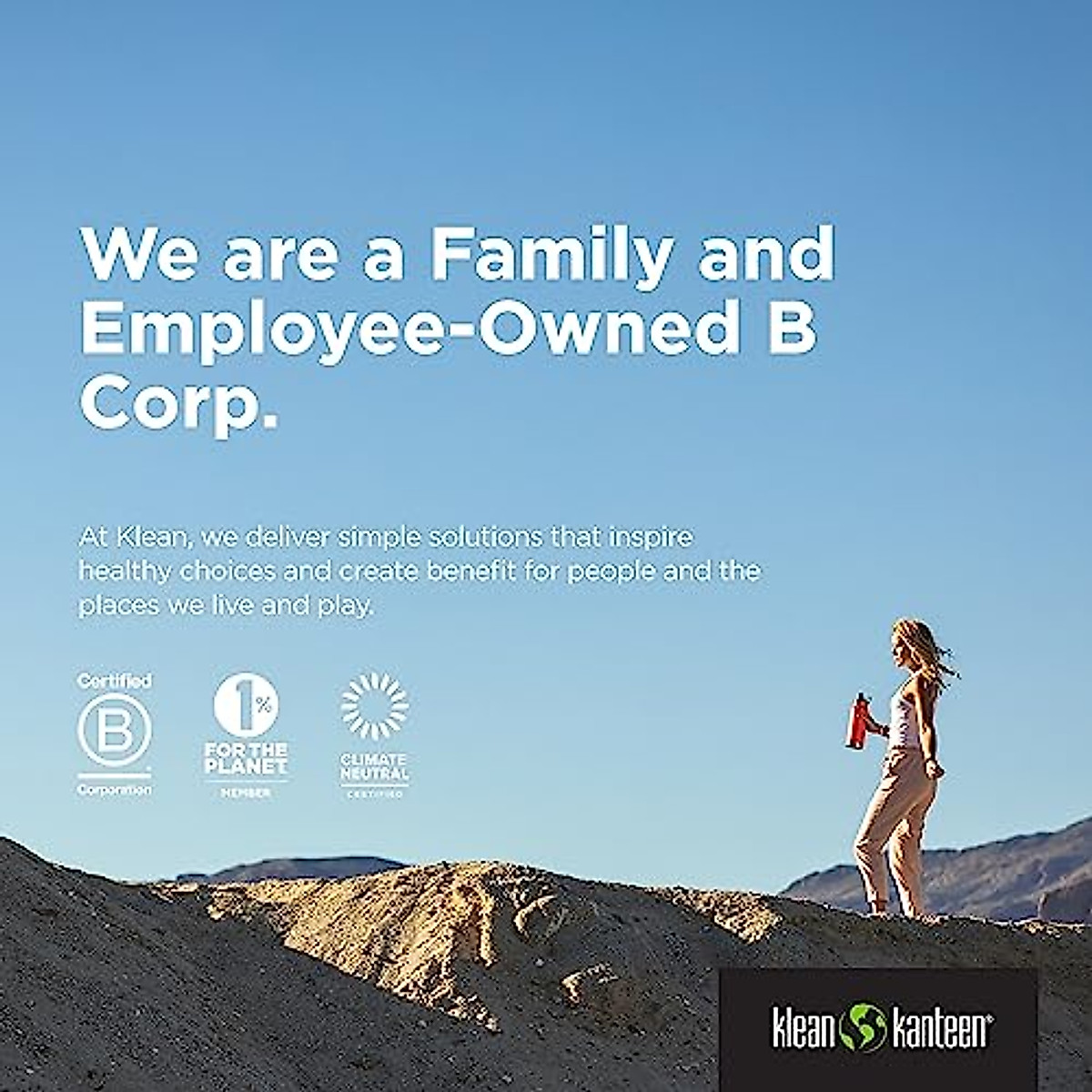 Klean Kanteen Short Multi Color Straws 4 Pack, 1 EA