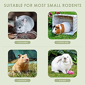 ERKOON Chinchilla Treats, Chew Toys for Teeth for Rabbit Guinea Pig Gerbil Rat Dwarf Hamster (Treats)