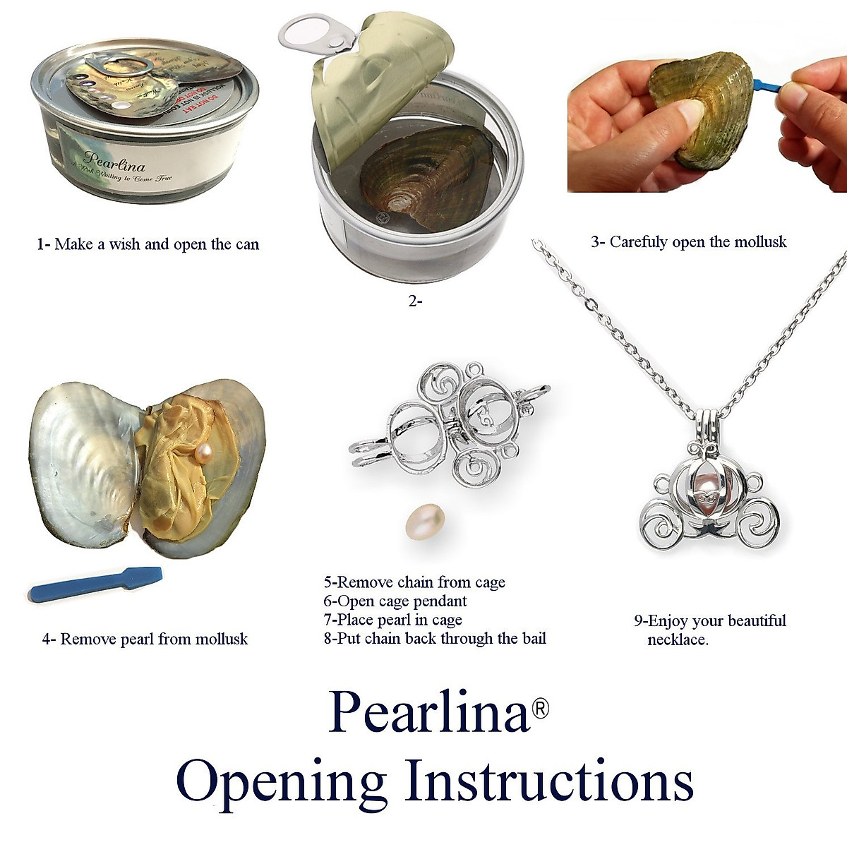 Pearlina Princess carriage Cultured Pearl Oyster Necklace Set Silver-tone Cage w/Stainless Steel Chain,18