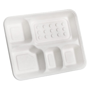 Hacaroa 50 Pack 5-Compartment Compostable Paper Plates, Natural Disposable Bagasse Plates School Lunch Trays, Rectangular Divided Plates for Party, Picnic, Eco-Friendly, Biodegradable, White