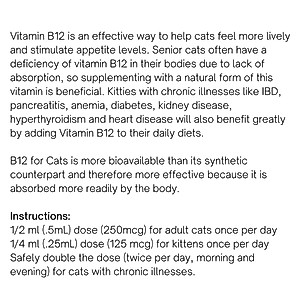 Jackson Galaxy: B12 for Cats-Dietary Supplement-Supports The Health of Your cat’s Immune System, Nervous System, Digestive System & Cognitive Function.