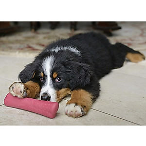 Wo Bone Dog Toy Cranberry Small