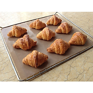 Bluedrop Baking Sheets Silicone Macarons Baking Mat and PTFE Oven Liner 1 Pcs Each Non Stick Baking Mats for Dehydrator Sheets Total Pack of 2