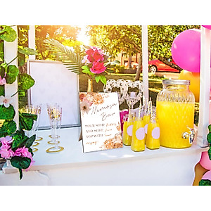 Mimosa Bar Sign,Wooden Sign with Stand,Blush Floral Pumpkin Mimosa Bar Decorations,Fiesta Bar Decor,Bridal Shower Supplies,Bar Supplies,Party Decor,Bridal Shower Sign,Wedding Decor,Party Supplies,4