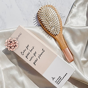 Wooden Hair Brush, Paddle Brush for Women with Soft Bristles - Sustainable Beech Detangling Hairbrush for All Hair Types by Lily England (Rose Gold)