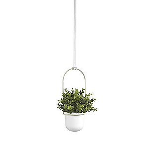 Umbra 1011748-524 Triflora Hanging Planters for Indoor Plants or Herbs, White/Brass,42" Width