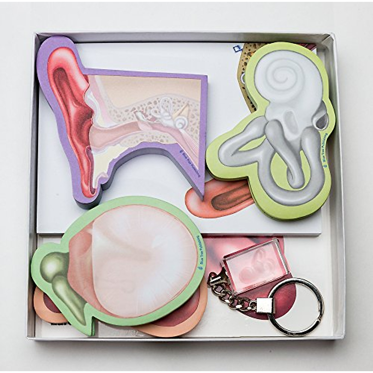 Hearing Gift Box Collection 2, 12 Pack for Audiologist, Students or Hearing Professional