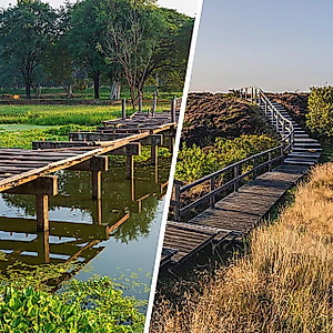 Metal Nails 50 Pcs 10-Inch Landscape Anchoring Spikes for Paver, Weed Barriers, Turf, House Construction, Carpentry Nail, Tent, Anchoring Spikes (10in 50pcs)