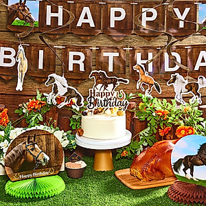 29 Pieces Horse Party Decorations Horse Birthday Banners Horse Hanging Swirls Hanging Cards Cupcake Toppers Honeycomb Centerpiece for Birthday Party Supplies