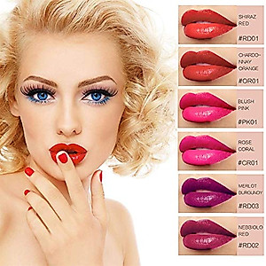 ZODENIS 5 Colors Wine Lip Tint, Wine Lipstick, Matte Lipgloss Set