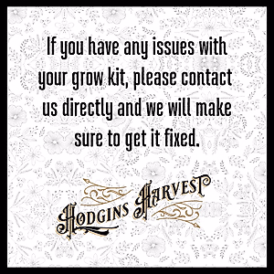 Hodgins Harvest Extra-Large Oyster Mushroom Grow Kit (7lbs) | USDA Certified Organic | Grow Your Own Delicious Gourmet Mushrooms at Home