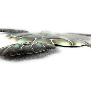 GSC Metal Sea Turtle Green Decor Indoor Outdoor Wall Art Plaque Sculpture Mount for Inside Home Living Room Bedroom Bathroom Kitchen Or Outside Patio Fence Porch, 17 X 17 inches