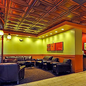 From Plain To Beautiful In Hours DCT05 Washington Square PVC 2' x 2' Lay-in or Glue-up Ceiling Tile (Covers / 200 sq.ft), Weathered Copper, 50 Piece