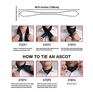 HISDERN Black Ascot Tie Mens Formal Cravat Ties Floral Paisley Polka Dot Jacquard Self Ascots Cravat Scarf Wedding Party