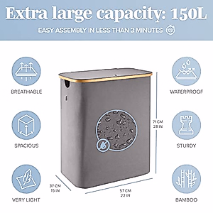 Lonbet - Gray Double Laundry Hamper with Lid, 2 Sections and Removable Bags, Hamper for Laundry 2 Compartment to Simplify Laundry Day for Busy Moms, 39.6 Gallons (3-5 Loads in a Washing Machine)