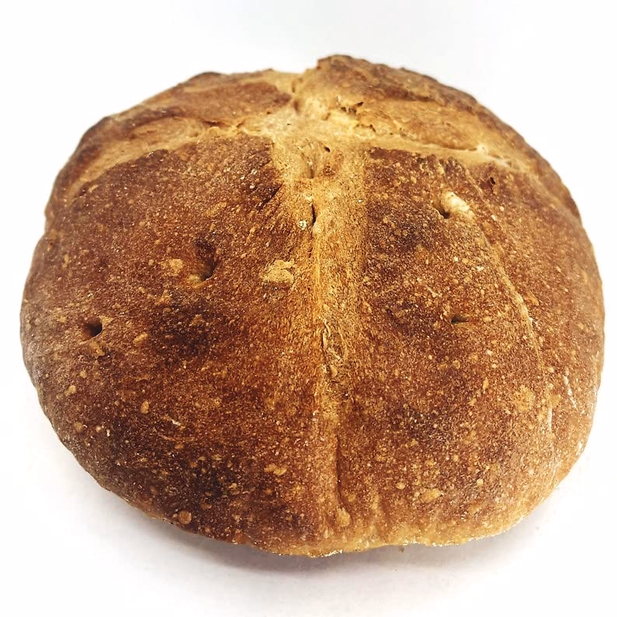 WWJD Worms 900 Year Old Organic Fresh Sourdough Starter Yeast Culture - Dutch/Wales Heritage Starter