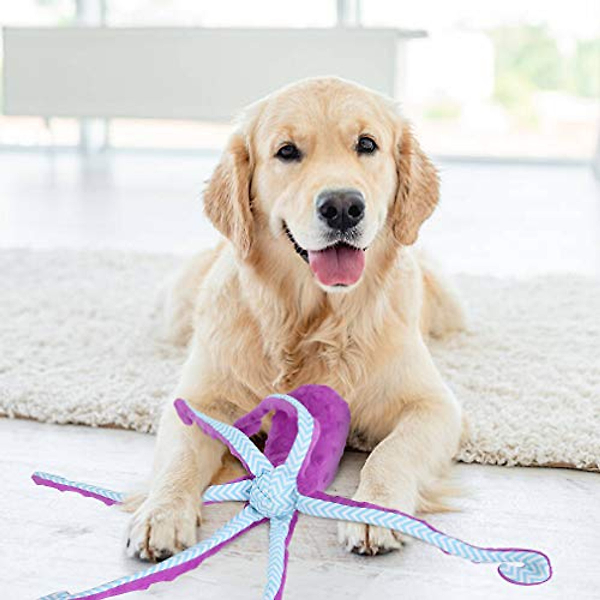 EXPAWLORER Long Dog Toy - 17" Best Squeaky Dog Plush Toys Puppy Birthday Gift Soft Stuffed Chew Toy Crinkle Paper and Built-in Squeaker Durable Interactive for Small Medium Large Dogs Chewing, Purple