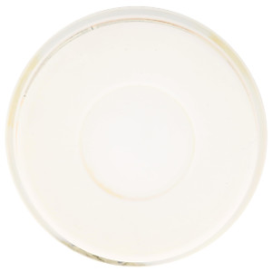 365 by Whole Foods Market, Yogurt Vanilla Low Fat Organic, 32 Ounce