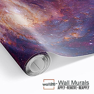 wall26 Removable Wall Sticker/Wall Mural Wood Panel Style American Flag Statue of Liberty International Global Digital Art United States Veteran for Living Room, Bedroom, Office - 66x96 inches