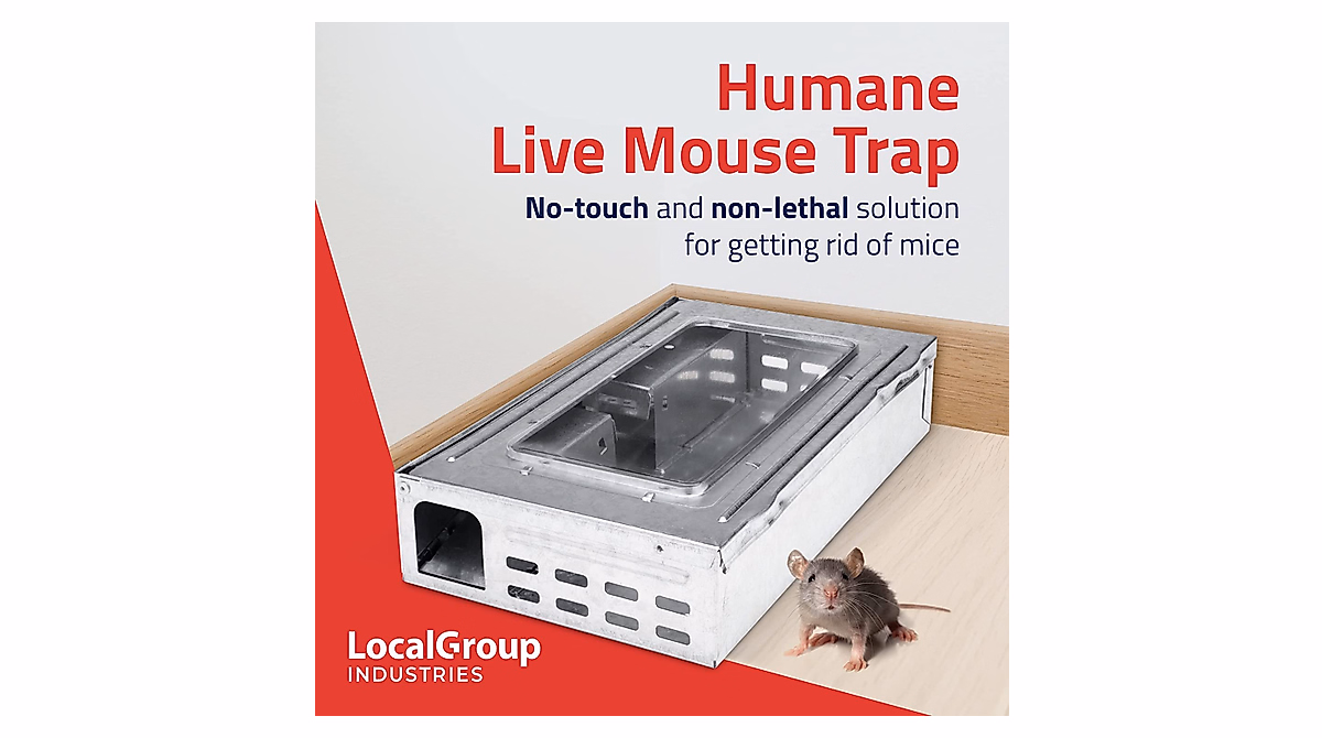 Humane Multi-Catch Mouse Trap with See-Through Lid – Reusable & Safe