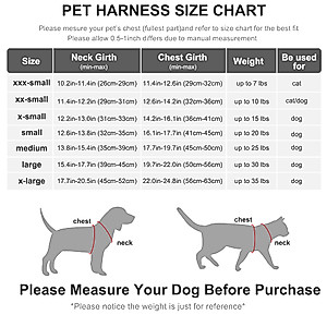 PetiFine Step in Small Dog Harness and Leash Set, Breathable All Weather Air Mesh Reflective Escape Proof, Step-in Vest Harnesses for Puppy(XS, Red)