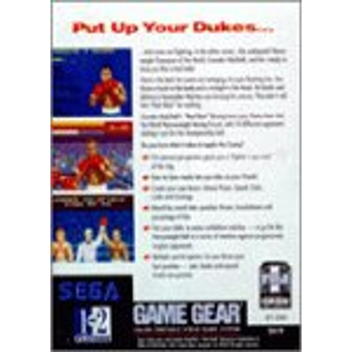 Evander Holyfield's Real Deal Boxing