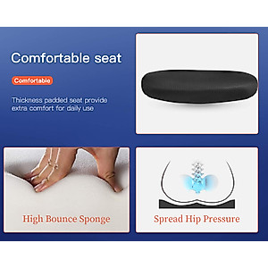 OffiClever Mesh Backrest Wheels Ergonomic Lumbar Support and Fully Adjustable Executive Office Chair, Black