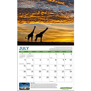 Greenpeace Wall Calendar 2021, Monthly January-December 15'' x 12"