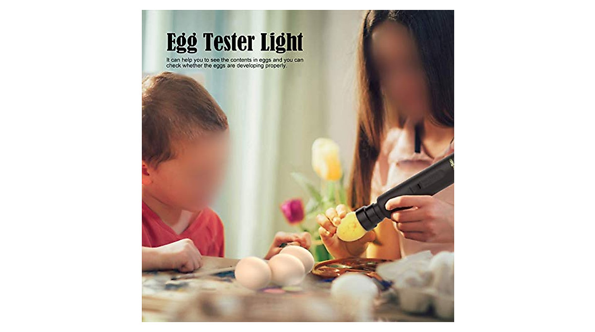 High-Intensity LED Egg Candler for Hatching Eggs