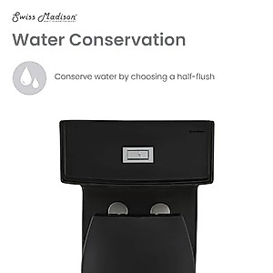 Voltaire One-Piece Elongated Toilet Dual-Flush 1.1/1.6 gpf in Matte Black