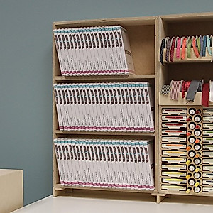 Stamp-n-Storage Shelf Unit - Mega Stamp Case Shelf with Back - Wall Mount