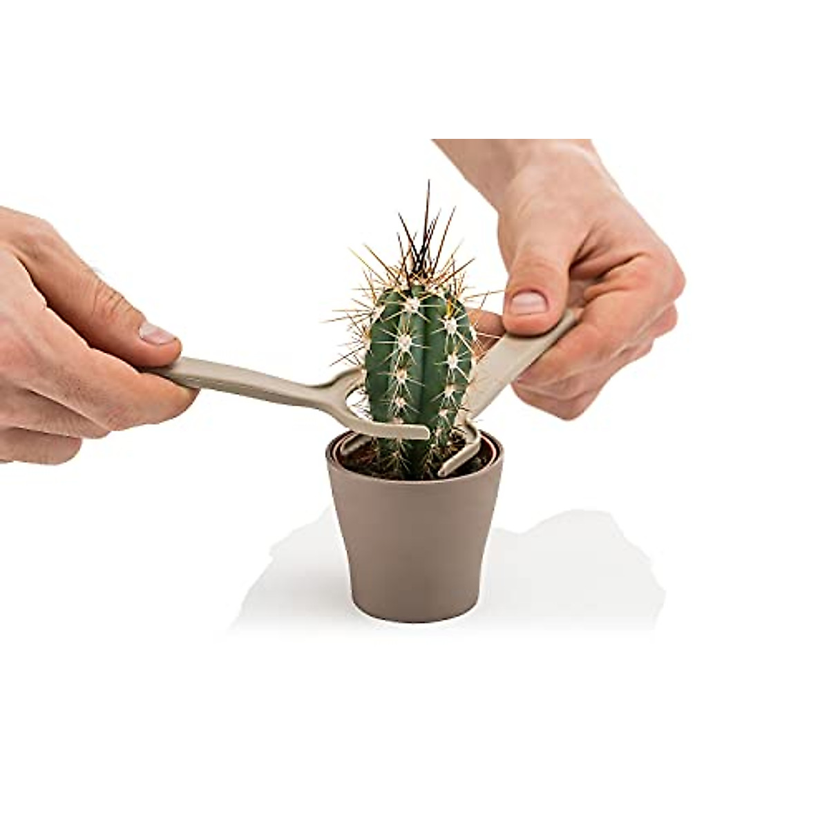 Generic Mini Garden Hand Transplanting Succulent Cacti Cactus Tools Miniature Planting, Set for Fairy Garden, Potting, Houseplant, Bonsai Tools, Bonsai Kit, Shovel, Fork, Green