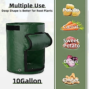 GreatBuddy 10 Gallon Potato Grow Bags 6-Pack, Thick PE Fabric Pots for Plants, Harvest Windows & Sturdy Handles, Labels Included, Green