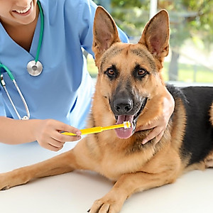 Mozeat Lens Small Cat & Dog Toothbrush, 2 Pack 360 Degree Soft Silicone Pet Toothbrush Cat Dental Care Dog Oral Hygiene Deep Clean Pet Teeth Cleaning Kit (Small Size, Orange/Purple)