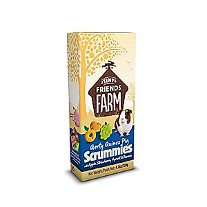 Supreme Gerty Scrummies Apple Strawberry Healthy Baked Bites For Guinea Pig 4.2Z