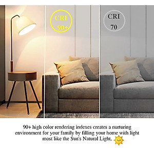 winsaLED 12 Pack 2w LED Edison Bulbs, 25 Watt Light Bulbs Equiv, 2700K Soft Warm with E26 Standard Base, LED ST19 Low Watt Light Bulbs, Not-dimmable, 120V