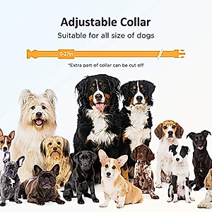 PATPET Dog Shock Collar with Remote - 3 Safe Training Modes, Rechargeable Waterproof Dog Training Collar for Small Medium Large Dogs (8-120 lbs), 3000Ft Control Electric Bark Collar with Remote