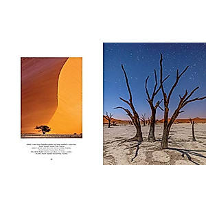 Trees (Gift Edition): Between Earth and Heaven