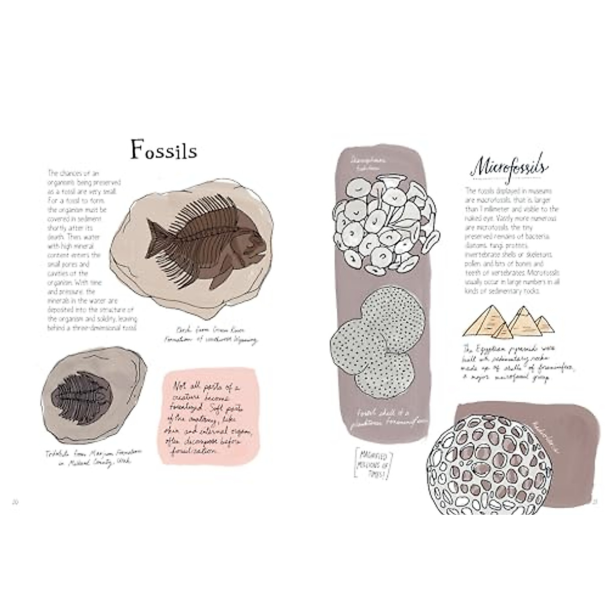 Nature Anatomy: The Curious Parts and Pieces of the Natural World