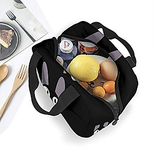 Portable lunch insulated bag lunch bag reusable waterproof portable thermal insulation bag lunch tote lunch box cooler bag with zipper for women/men