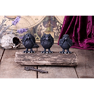 Nemesis Now Three Wise See No Evil Hear No Evil Speak No Evil Figurines, Adorable Hand-Painted Resin Collectibles and Gift - Ravens