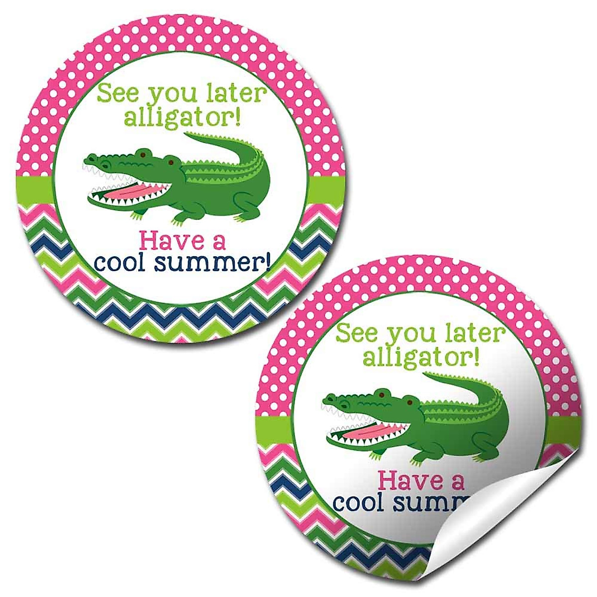 Later Gator End of The School Year Teacher Appreciation Thank You Sticker Labels for Girls, 40 2" Party Circle Stickers by AmandaCreation, Great for Envelope Seals & Gift Bags